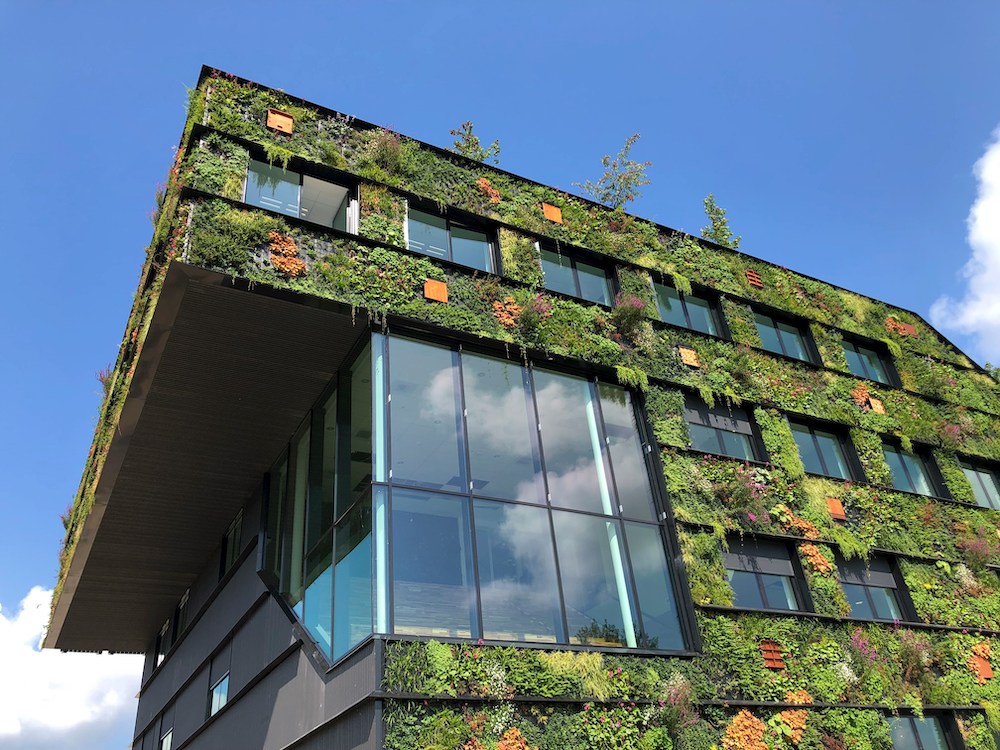 Net Zero Buildings - Everything you need to know